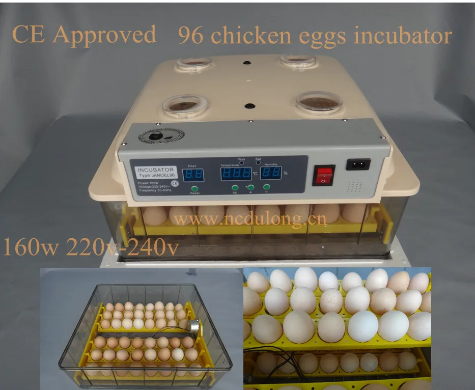 Hot Automatic Good Quality Jn96 Poultry Egg Tester Hatchery Fan ...