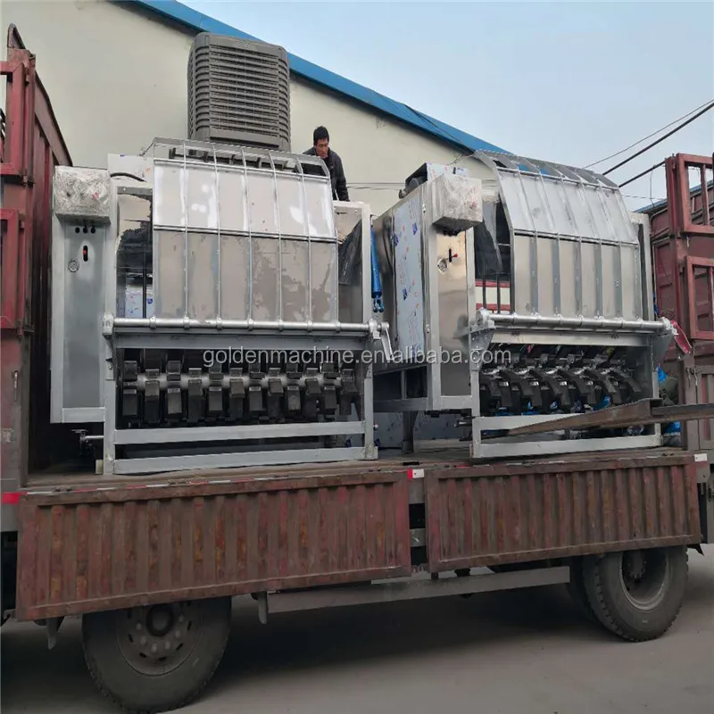 Hog Slaughterhouse Line - Efficient Dehairing Solutions