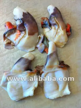 Queen Conch Meat - Buy Caribbean Conch Product on Alibaba.com