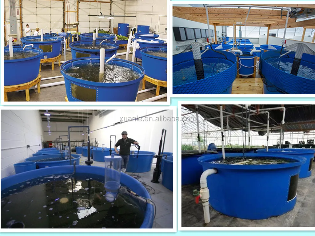 Poly Rotatioal Food Grade Fish Breeding Tank For Wholesales - Buy Fish ...