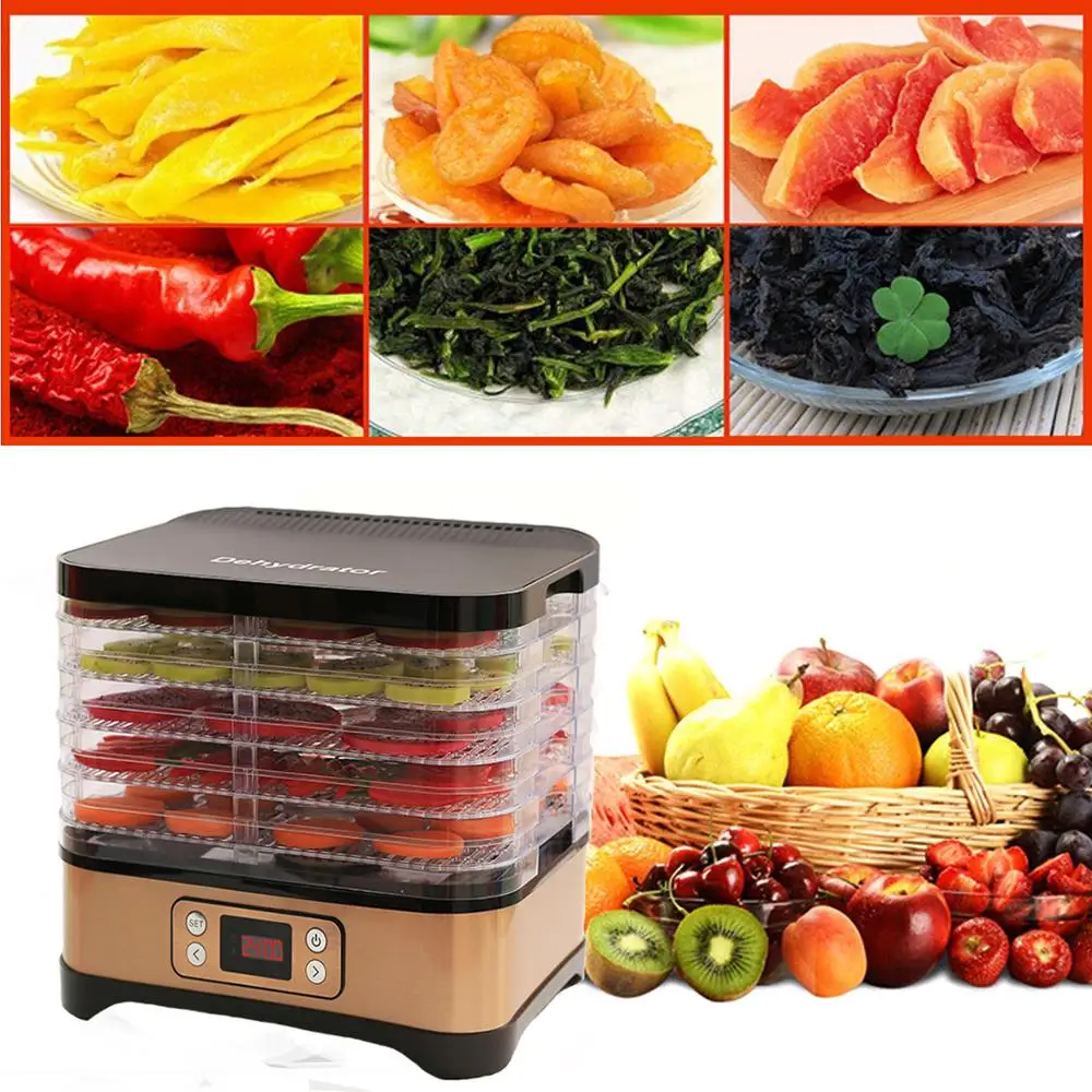 New Design Stainless Electric Mini Food Dehydrator Machine With Ce Cb ...