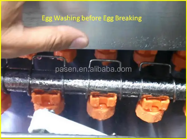 Egg Production Line - Efficient Egg Breaking Machine