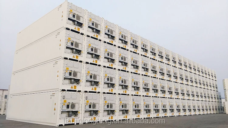 40ft Blast Freezer - Efficient Reefer Container Solutions