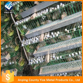 Factory Price 6 Layers Automatic Quail Cage Layer Quail Cages For South ...