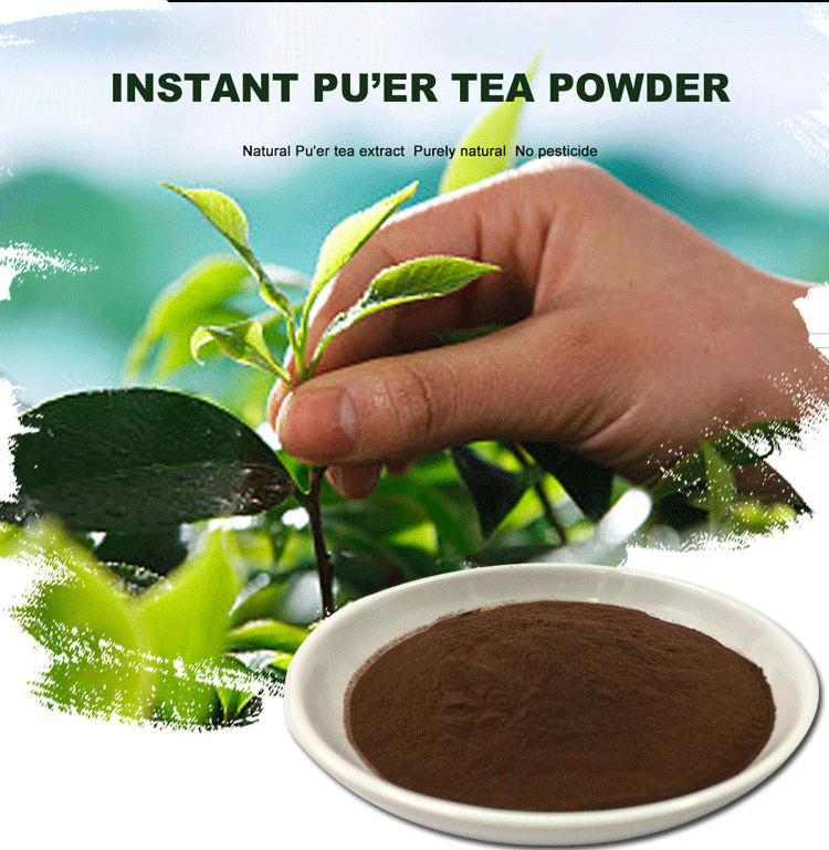 Black Pu'er Tea Extract Instant Tea Powder - Buy Natural Instant Puer ...