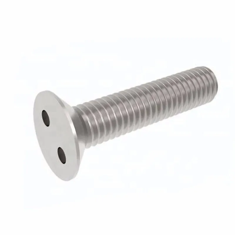 Custom Stainless Steel Two Holes Snake Eyes Security Screw