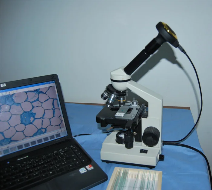 C-mount And Eyepiece Tube Connection Digital Microscope Camera Equipped ...