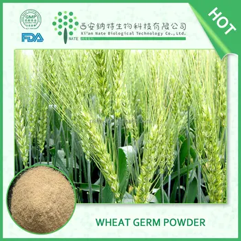 Pure Wheat Germ Extract Powder For Health Care Free Sample - Buy Wheat ...
