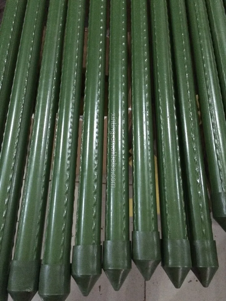 Plastic Coated Steel Pipe Plant Support Stake - Buy Pipe Stake ...