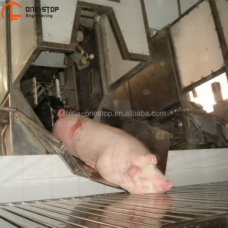 Swine Slaughter House Machinery - Efficient & Durable