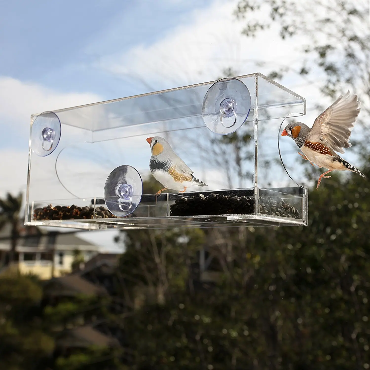 Perspex Bird Feeder - Acrylic Wild Bird Window Feeder