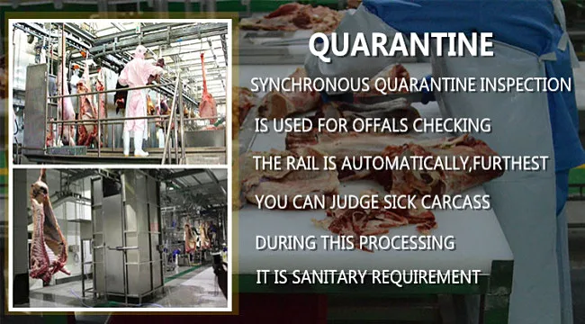 Cattle Slaughter Equipment - Efficient Halal Line Solutions