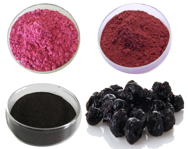 Factory Supply Black Currant Extract With Anthocyanin 25% Price - Buy ...