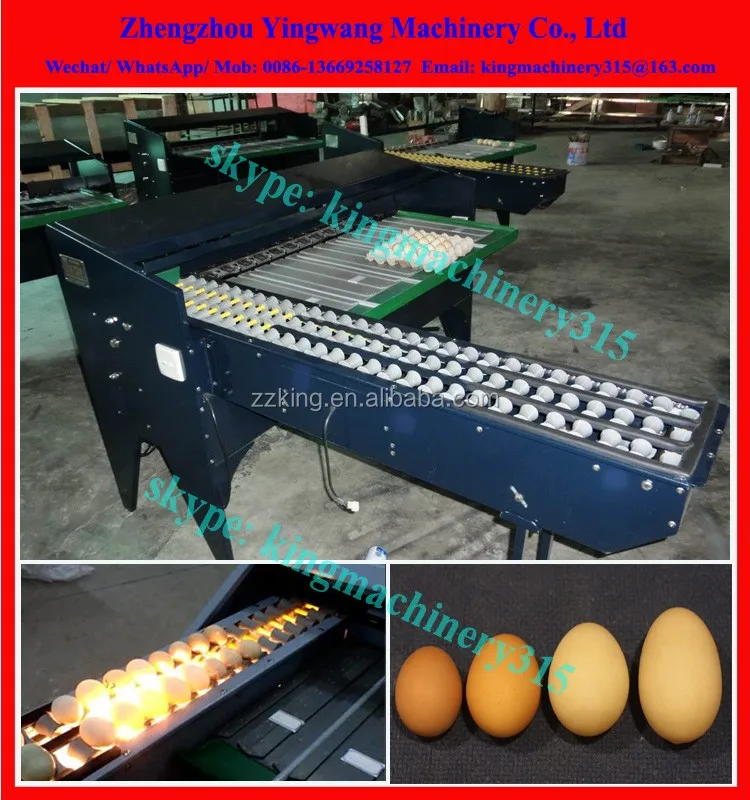 Automatic Egg Sorting Machine Egg Grader And Packing Machine For Sale ...