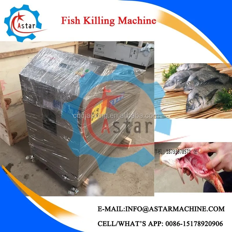 Good Quality Fish Fingers Cutting Machine - Buy Fish Fingers Cutting ...