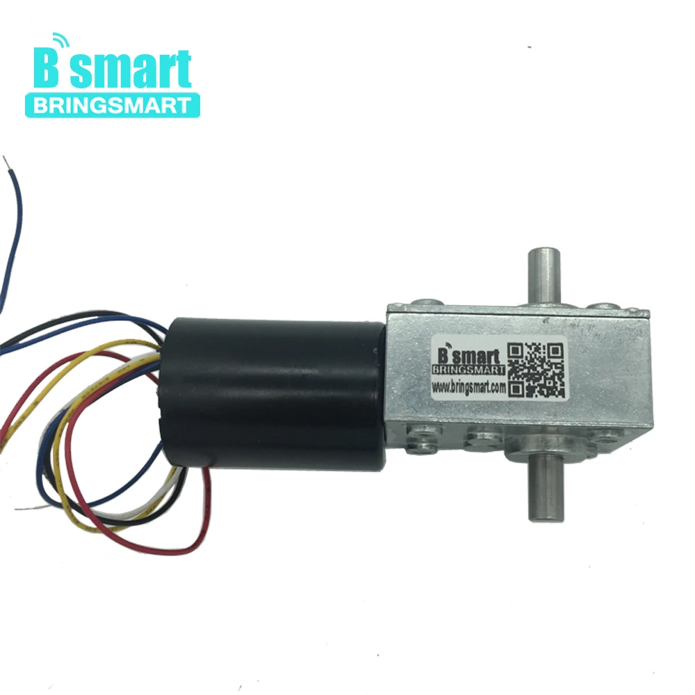 Bringsmart 12v Double Shaft Bldc Motor 24v Worm Gear Motor Self-locking ...