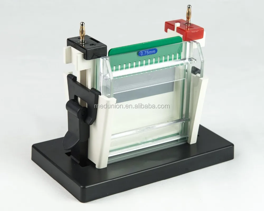 New Advanced Horizontal Electrophoresis Tank Gel Hb Electrophoresis ...