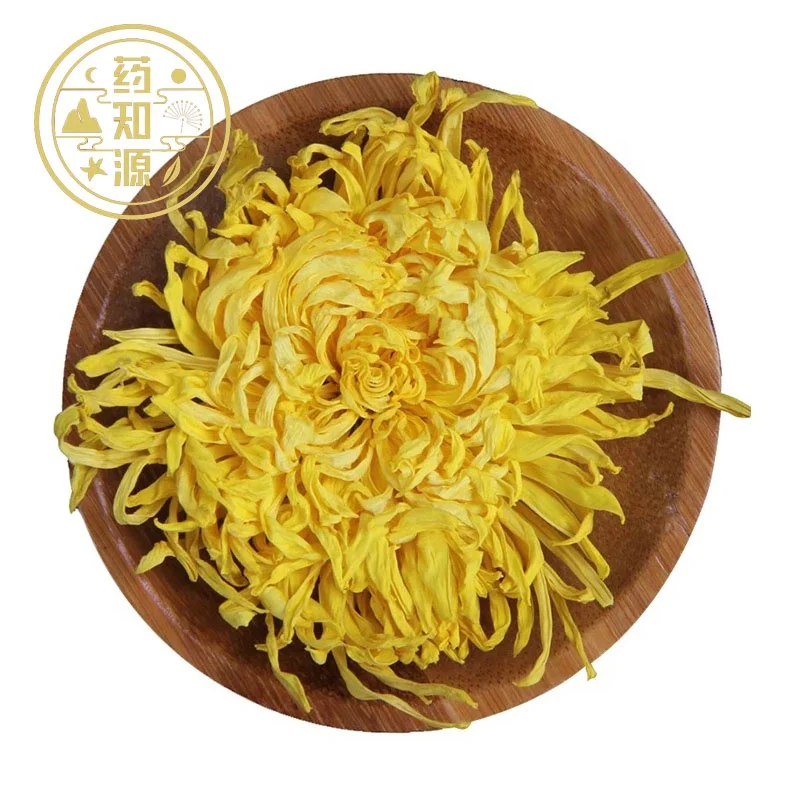 Jin Si Huang Ju Wholesale Full Cup Big Gold Emperor Chrysanthemum For ...