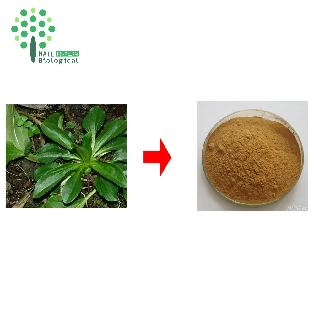Swertia Chirata Extract 30% Swertimarin Powder - Nutraceutical Grade