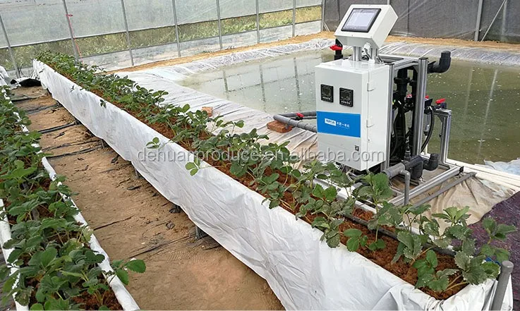 Automatic Nutrient Dosing Fertigation Systems for Greenhouses