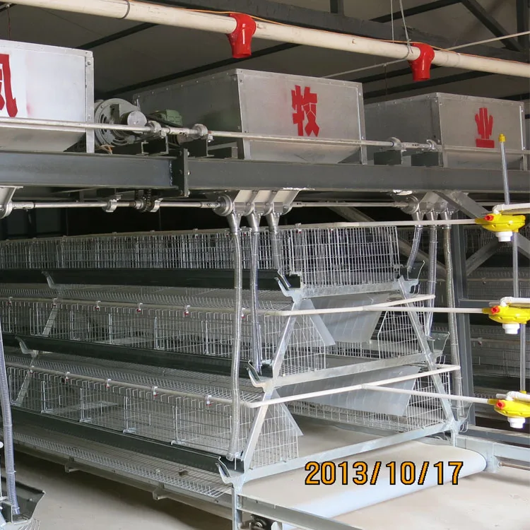 galvanized automatic chicken breeding feeding system equipment ...