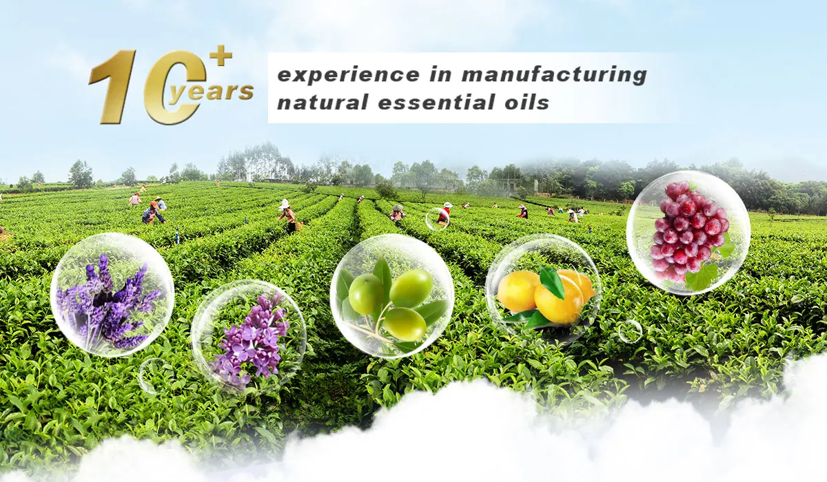 Jiangxi Senhai Natural Plant Oil Co., Ltd. - Plant oil, essential oil