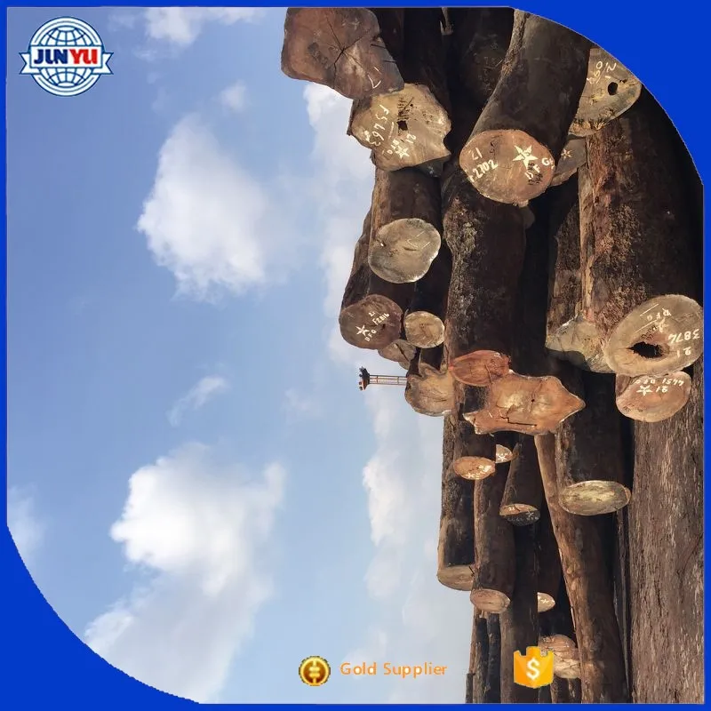 Cameroon Tali Wood With Best Price And Quality - Buy Tali Logs Wood ...