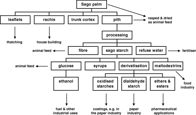 Price For Complete Sago Palm Starch Production Line Set Machine - Buy ...
