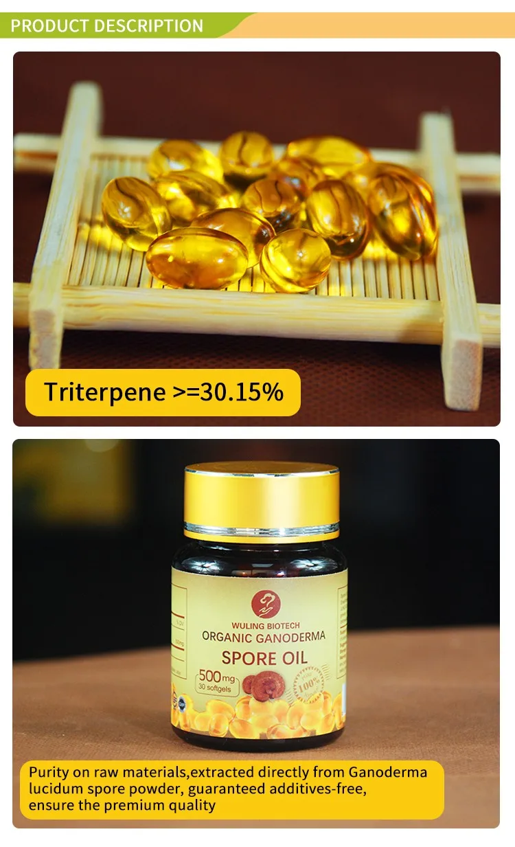 Reishi Ganoderma Lucidum Spore Extract Oil - 500mg Softgels