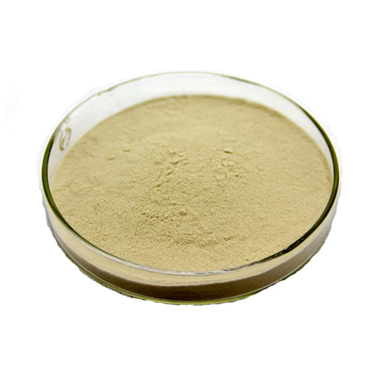 Soybean Peptide / Soy Peptide Powder / Soy Extract Powder - Buy Soy ...