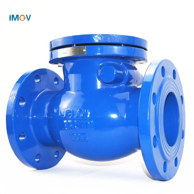 ANSI B16.6 Inch 8 Inch 500 800 Pornd Adjustable Cast Iron Swing Check ...