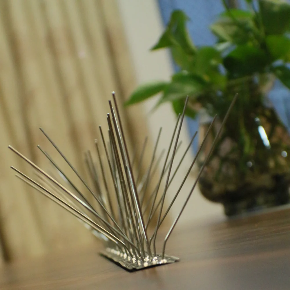 Bstw High Quality Stainless Steel Spikes Pest Control Bird Spikes - Buy ...