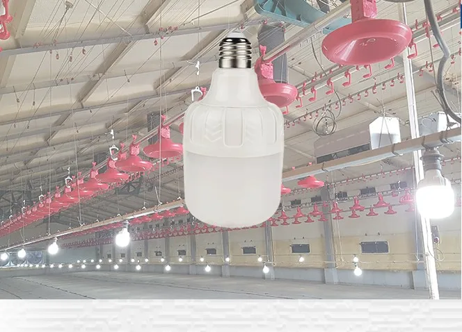 Led Lights For Poultry House Led Dimmable Light For Chicken Waterproof ...