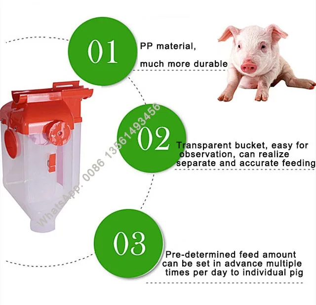 Pig Automatic Feeding System Dispenser For Pig Farm - Buy Dispenser,Pig ...