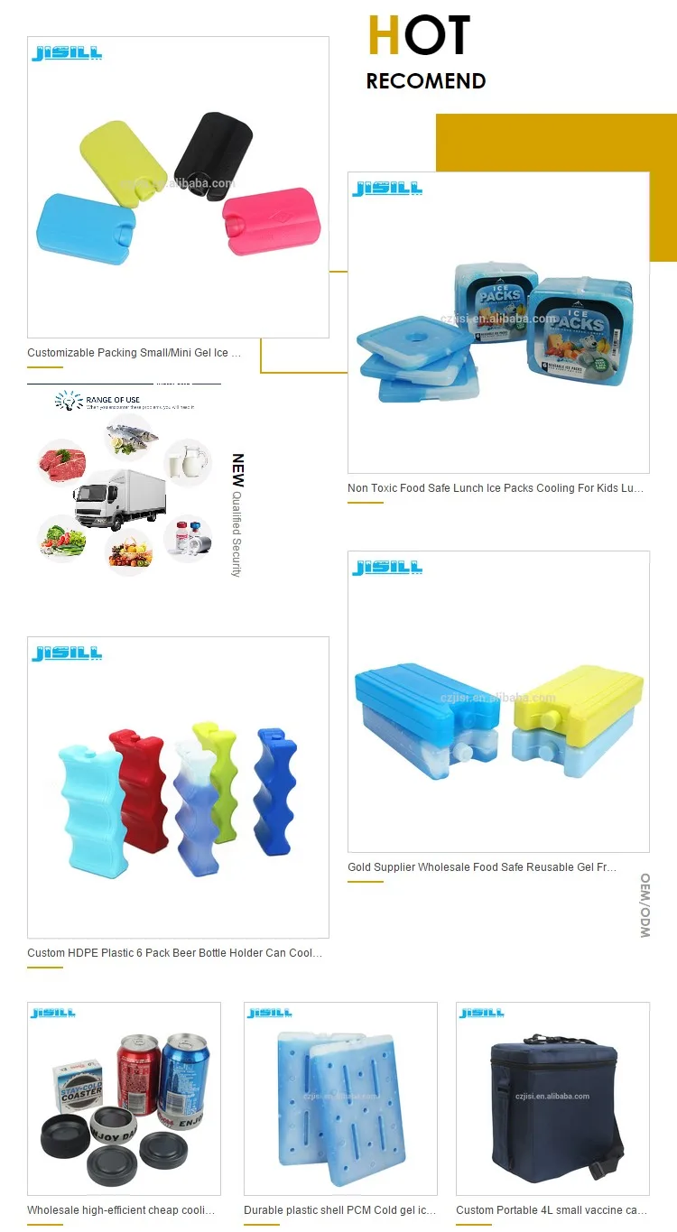 Custom Packing Gift Craft Mini Chill Pack Cooler For Kids Lunch Bags ...