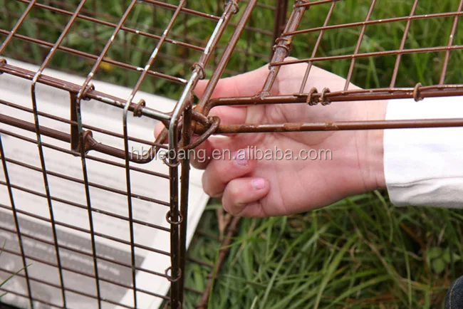 Strong Humane Cat Traps Cage for TNR - Liebang Quality