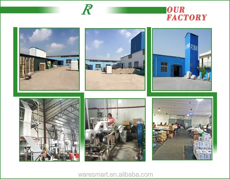 PE Plastic Film for Construction - Durable & Versatile