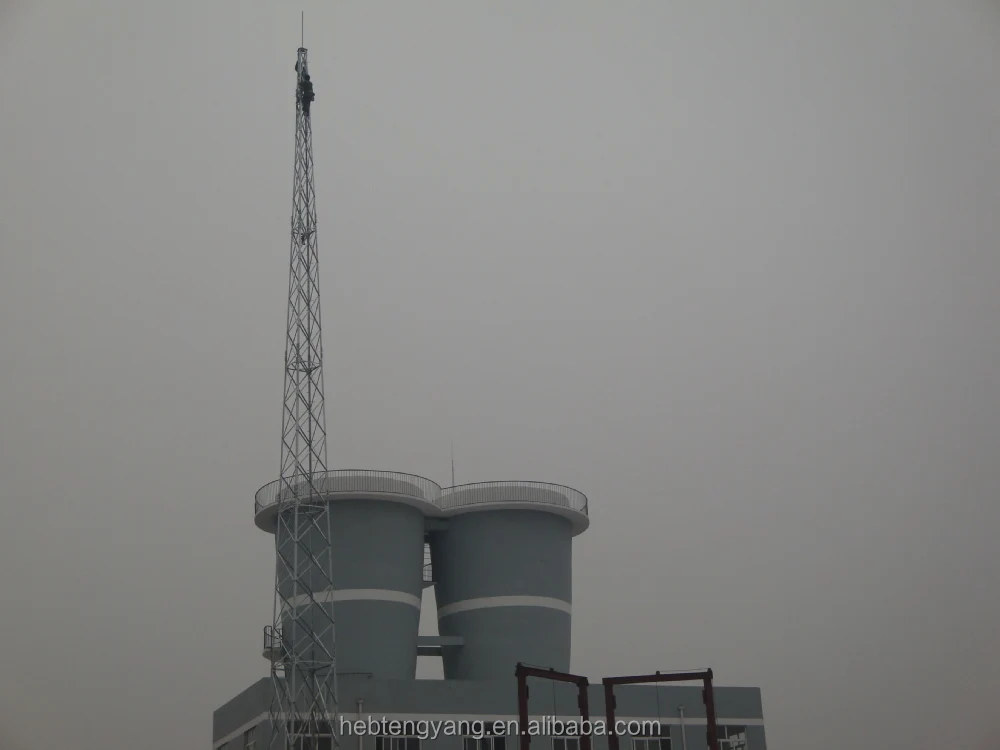 Lightning Rod Plant - Reliable Lightning Protection