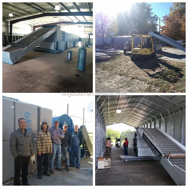 Successful Drying Technology 1000kg/hour hemp flower bud belt dryer ...