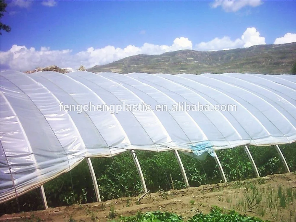 100 -500 Micron Anti-fog Uv Resistant Clear Polyethylene Agricultural ...