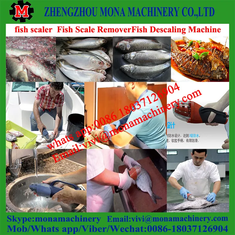 Fish Scale Peeling Machine/fish Scale Peeler - Buy Fish Scale Peeler ...