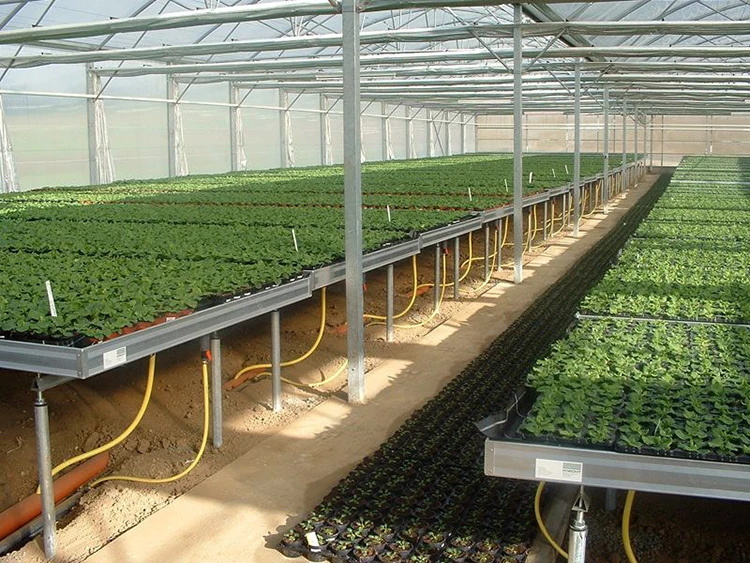 Commercial Stationary Greenhouse Seed Bed Benches - Buy Fixed Top ...