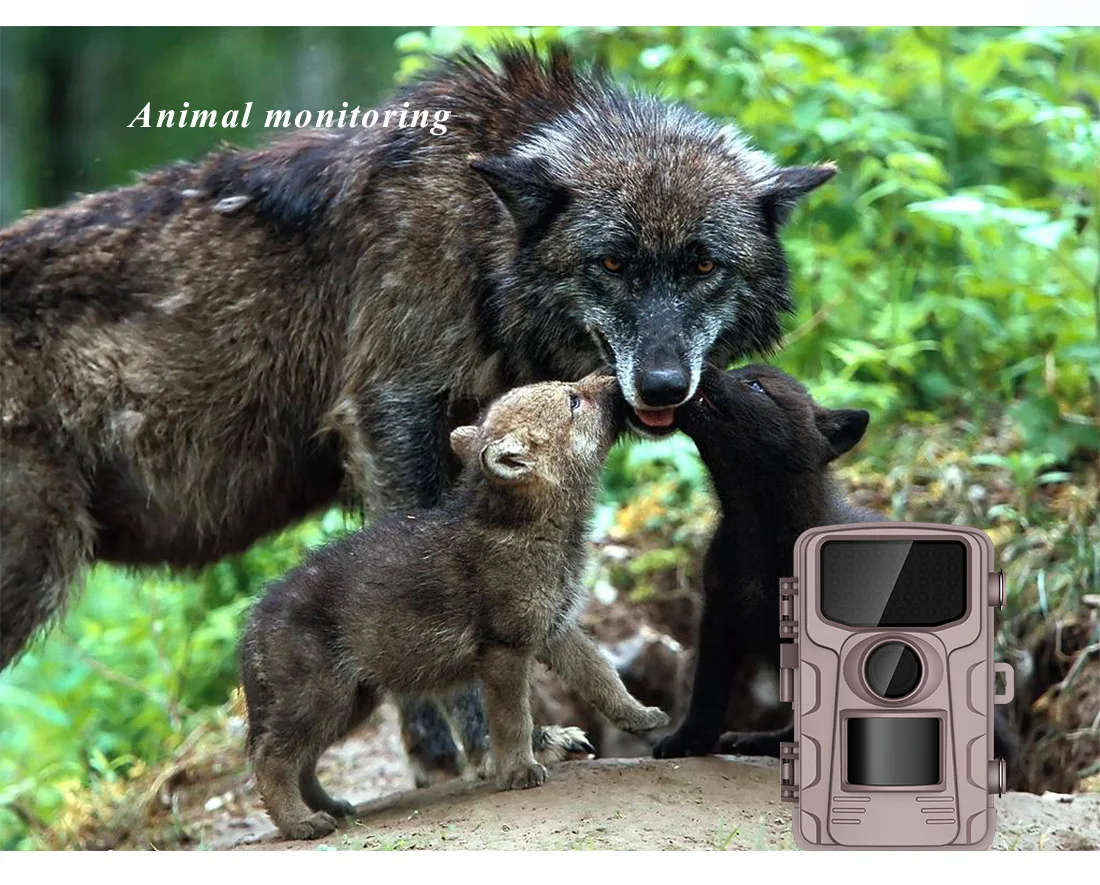 Wild Trail Camera Digital Trail Hunting Camera With Fcc/ce/rohs Trail ...