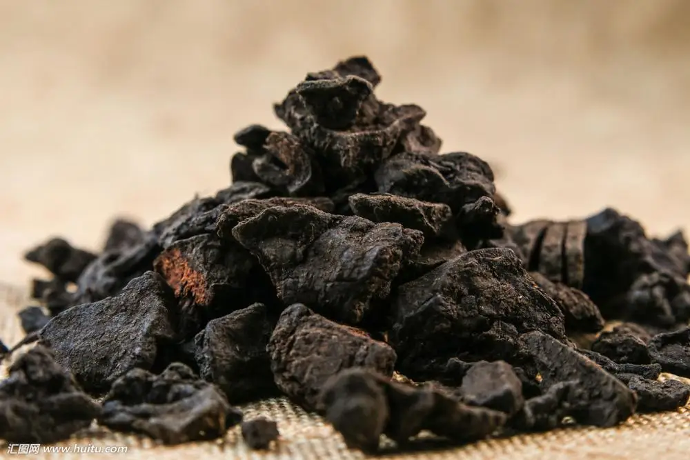 100% Natural Polygonum Multiflorum Root Extract/he Shou Wu Extract ...