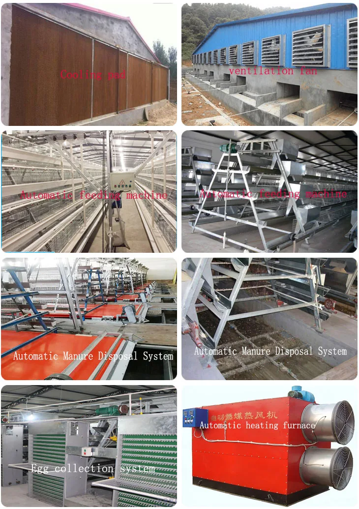 Hot Galvanized Pyramid Chicken Cage Poultry Layer Cages Philippines For ...