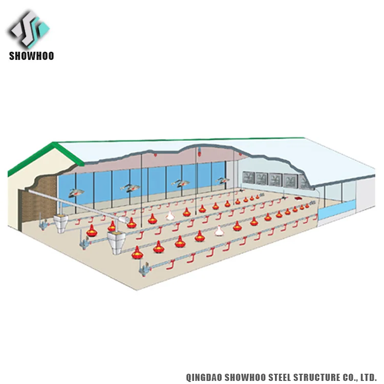 Low Cost Environmental Control Industrial Shed Designs Steel Chicken ...