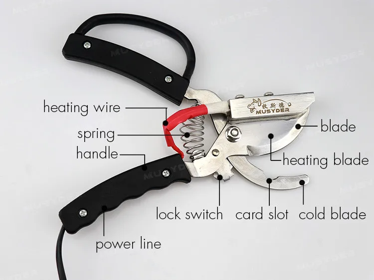 Veterinary Instrument Stainless Piglet/lamb Electric Heat Cutting ...