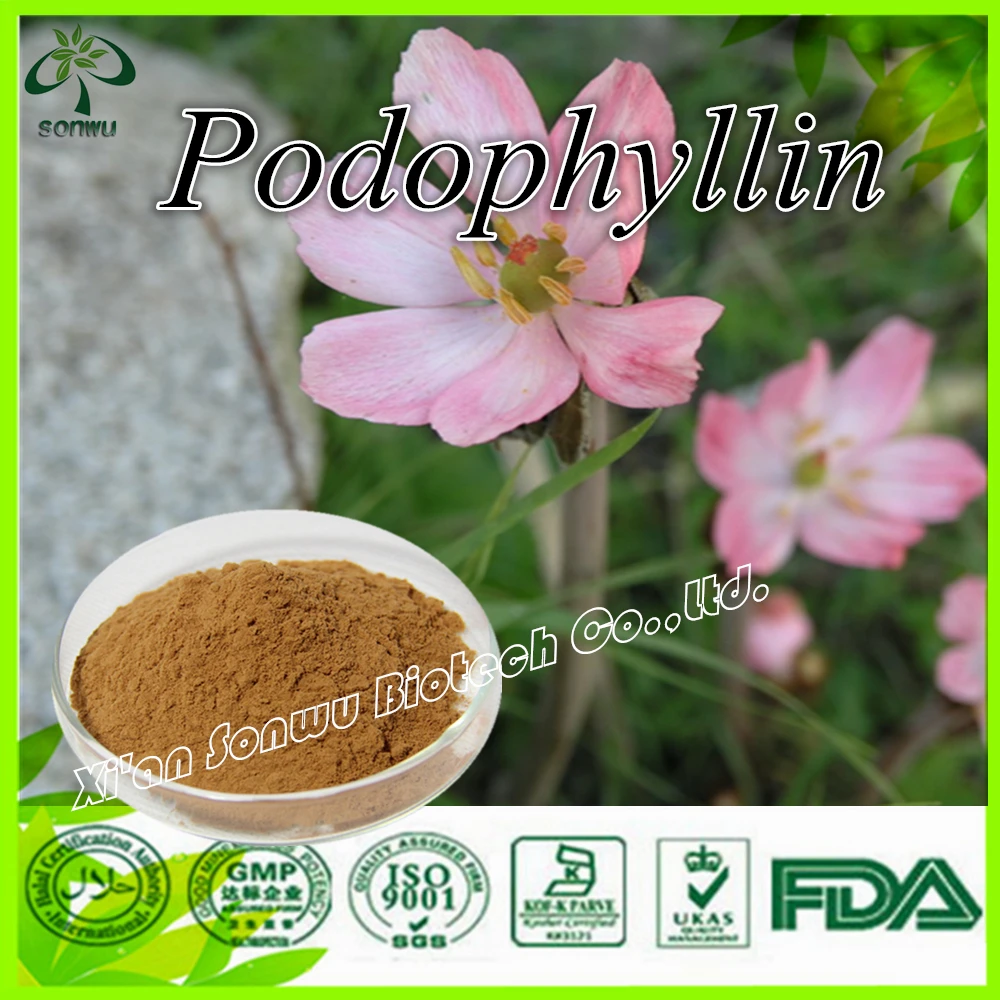 ภาพ thai, แกลเลอรีภาพมากมายบน Alibaba.com