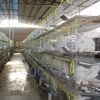 Rabbit Farming Cage,Rabbit Breeding Cages,Commercial Rabbit Cages - Buy ...