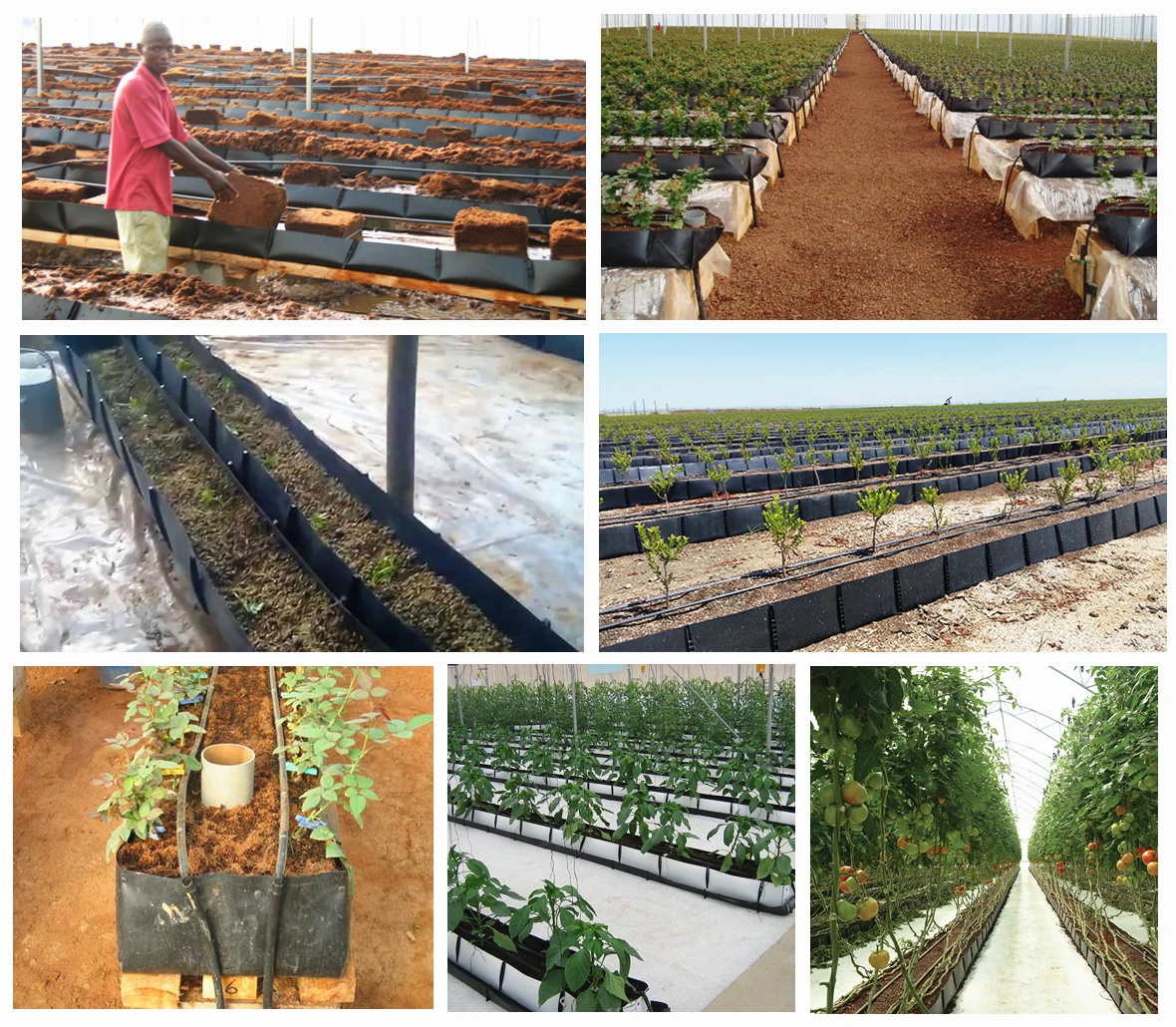 Hydroponic Planting Troughs - Efficient Greenhouse Solutions